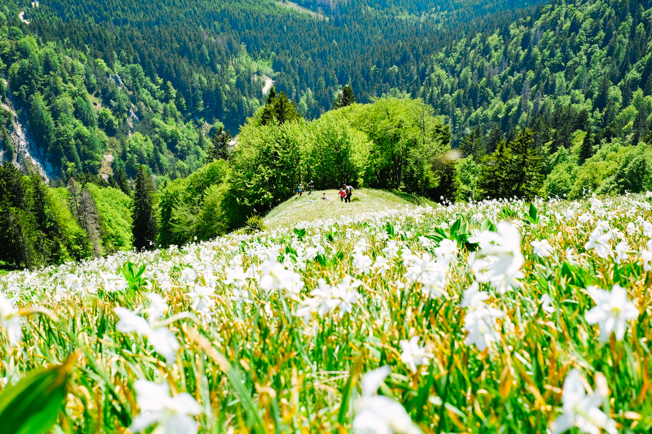 Golica – Exploring Slovenia