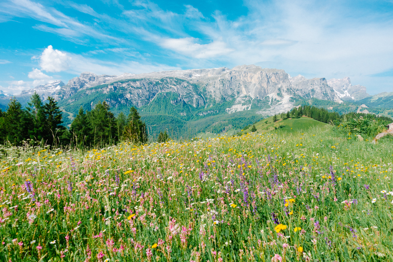 Immersed in the fascinating Dolomites of Northeastern Italy - Exploring ...