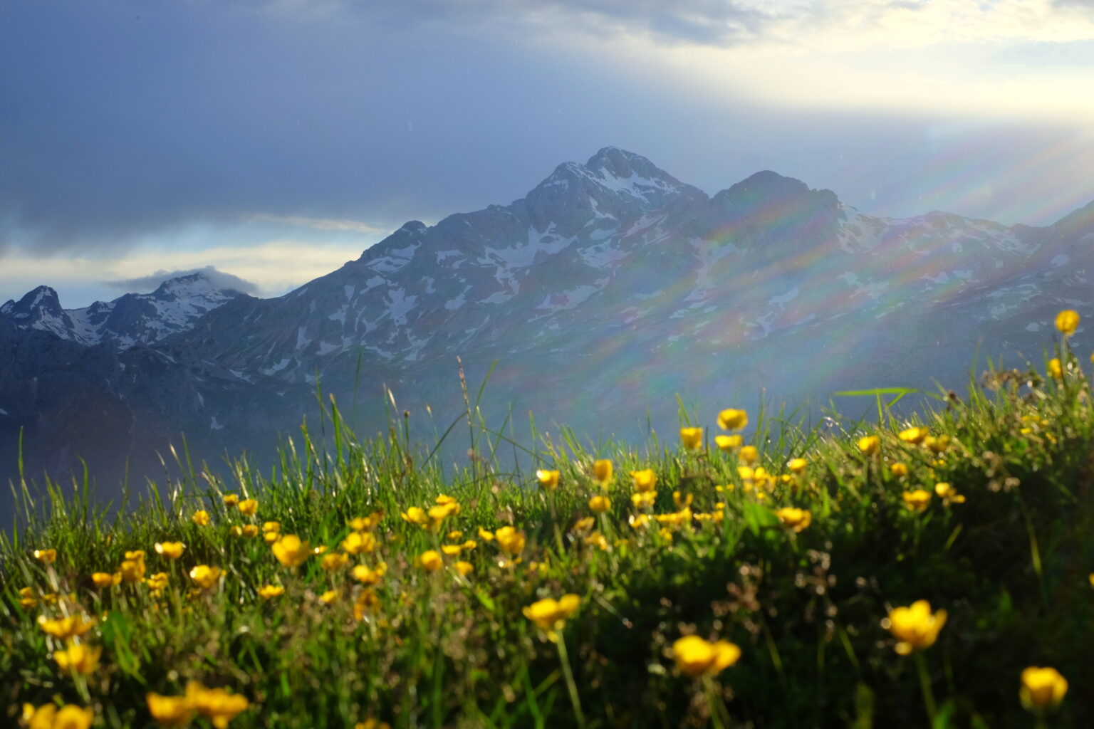 Hiking in a flower paradise: Mt. Golica and its daffodils – Exploring ...