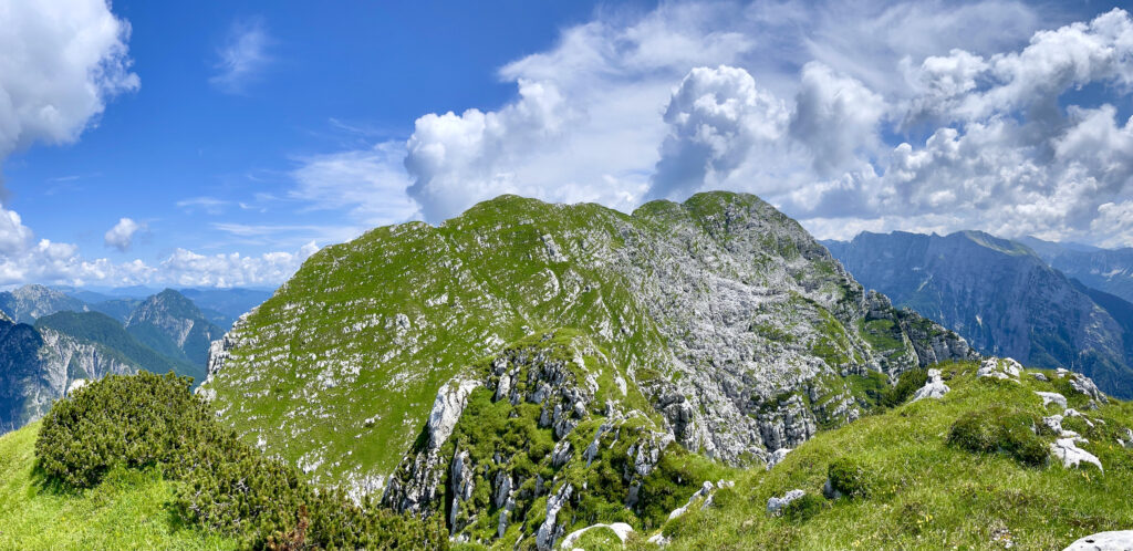 Hiking in the Julian Alps among flowers, a lake and stunning views ...